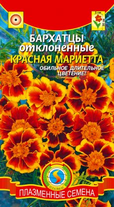 Бархатцы отклоненные КРАСНАЯ МАРИЕТТА - Плазменные семена