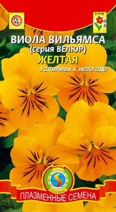 Виола Вильямса ЖЕЛТАЯ - Плазменные семена
